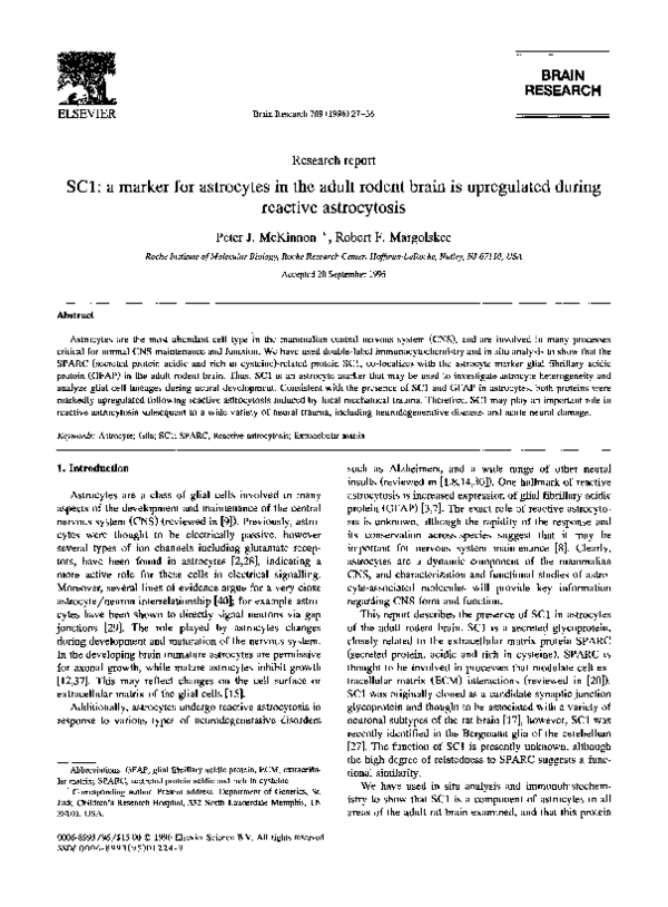 (PDF) SC1: a marker for astrocytes in the adult rodent brain is ...