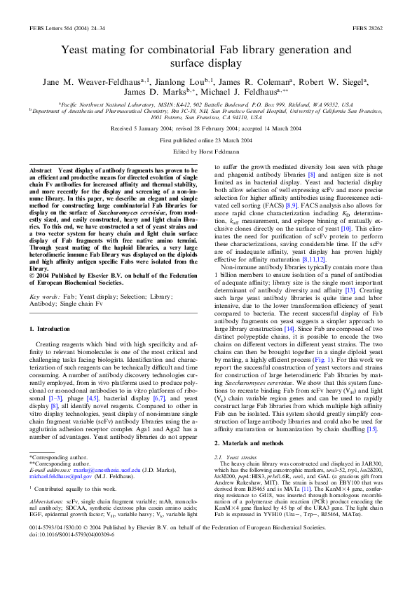 (PDF) Yeast mating for combinatorial Fab library generation and surface ...