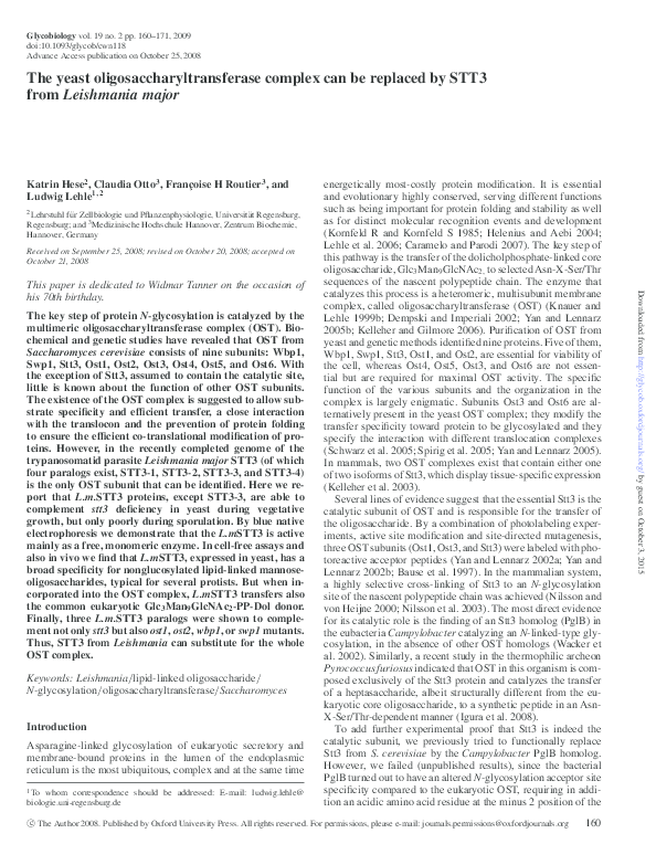 (PDF) The yeast oligosaccharyltransferase complex can be replaced by STT3 from Leishmania major