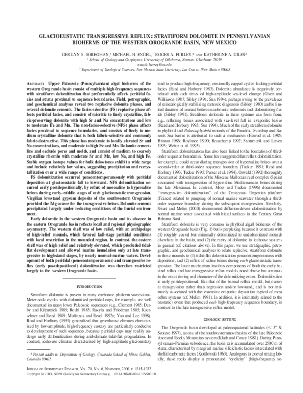 (PDF) Glacioeustatic Transgressive Reflux: Stratiform Dolomite in ...