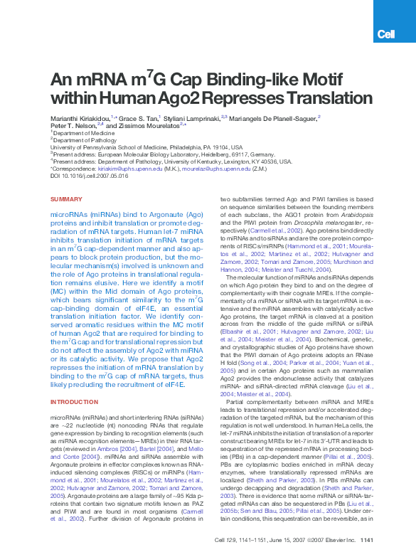 (PDF) An mRNA m7G Cap Binding-like Motif within Human Ago2 Represses ...
