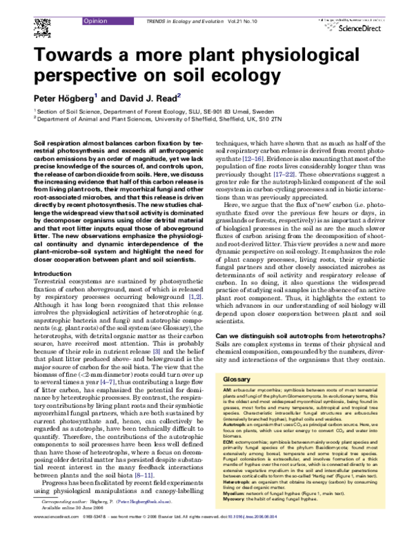 (PDF) Towards a more plant physiological perspective on soil ecology