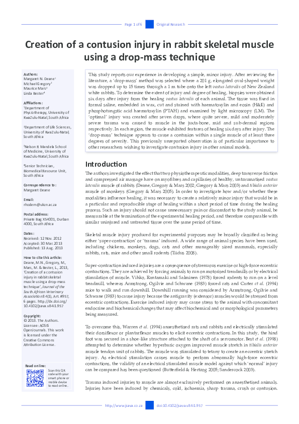 (PDF) Creation of a contusion injury in rabbit skeletal muscle using a ...