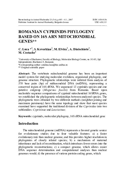 (PDF) Romanian cyprinids phylogeny based on 16S ARN mitochondrial genes
