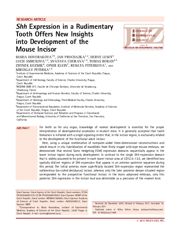 (PDF) Shh expression in a rudimentary tooth offers new insights into ...