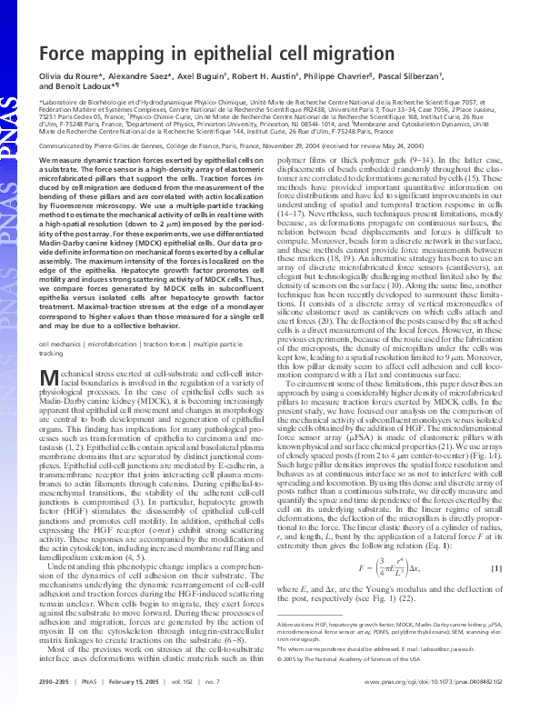 (PDF) Force mapping in epithelial cell migration | Philippe Chavrier - Academia.edu