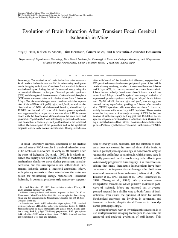 (PDF) Evolution of Brain Infarction After Transient Focal Cerebral ...