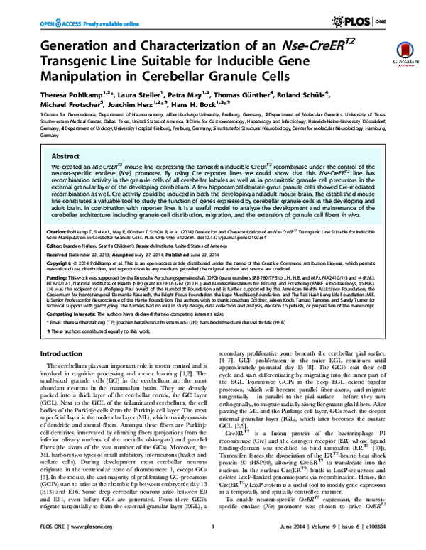 (PDF) Generation and Characterization of an Nse-CreERT2 Transgenic Line ...