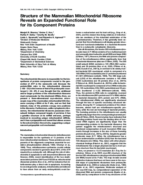 (PDF) Structure of the Mammalian Mitochondrial Ribosome Reveals an ...