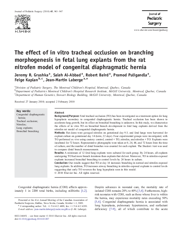 (PDF) The effect of in vitro tracheal occlusion on branching ...