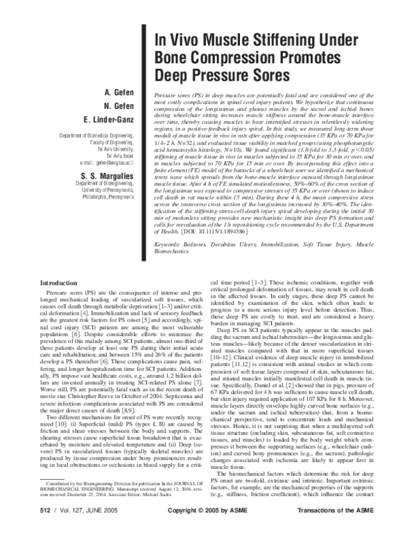 (PDF) In Vivo Muscle Stiffening Under Bone Compression Promotes Deep ...
