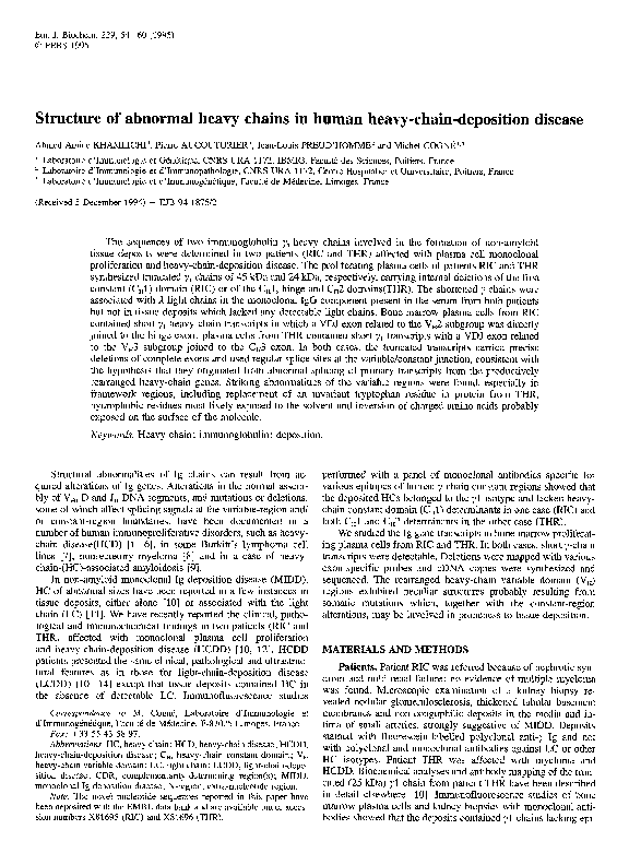 (PDF) Structure of Abnormal Heavy Chains in Human Heavy-chain ...