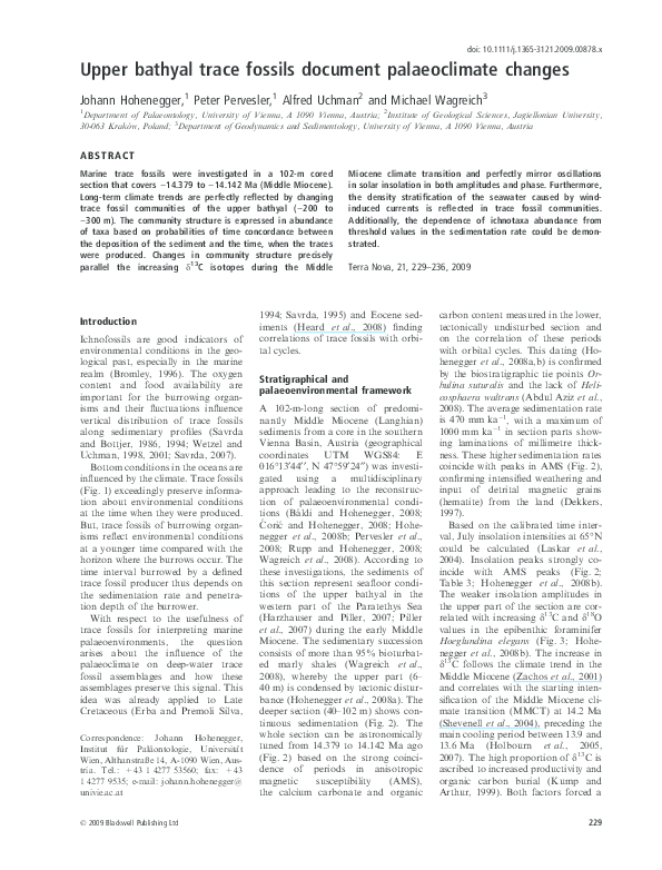 (PDF) Upper bathyal trace fossils document palaeoclimate changes