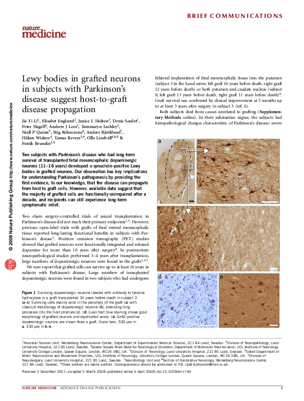 (PDF) Lewy bodies in grafted neurons in subjects with Parkinson's ...
