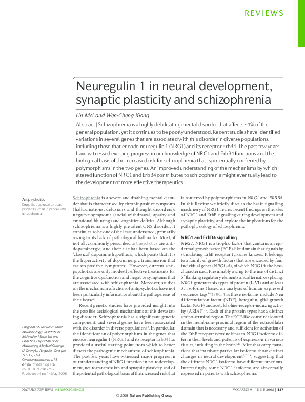 (PDF) Neuregulin 1 in neural development, synaptic plasticity and ...