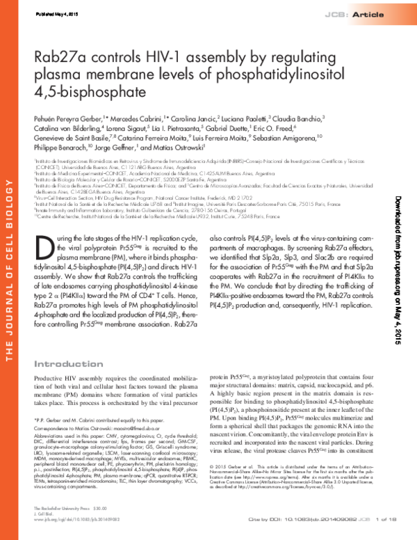(PDF) Rab7A Is Required for Efficient Production of Infectious HIV-1 ...