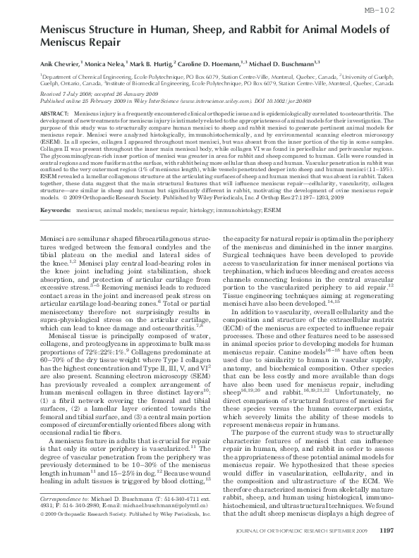 (PDF) Meniscus structure in human, sheep, and rabbit for animal models ...