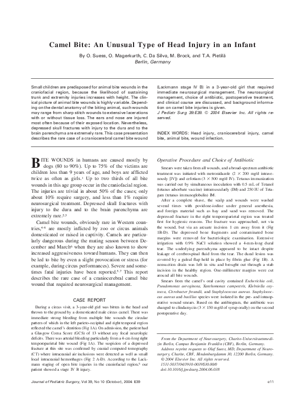 (PDF) Camel bite: An unusual type of head injury in an infant | Olaf ...