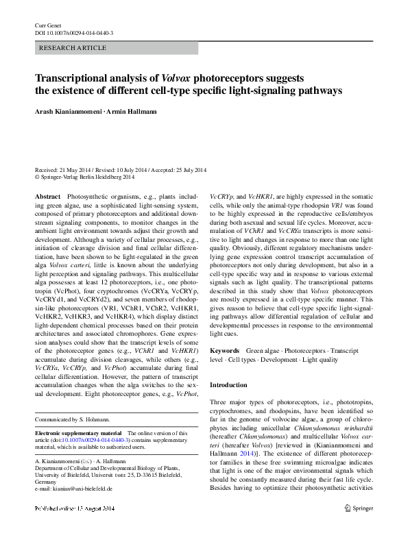 (PDF) Transcriptional analysis of Volvox photoreceptors suggests the ...