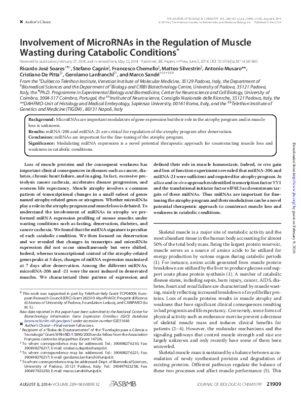 (PDF) Involvement of microRNAs in the regulation of muscle wasting ...