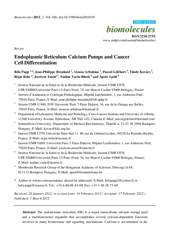 (PDF) Endoplasmic reticulum calcium pumps and cancer