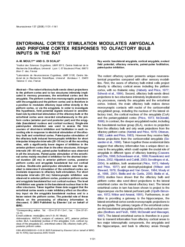 (PDF) Entorhinal cortex stimulation modulates amygdala and piriform ...