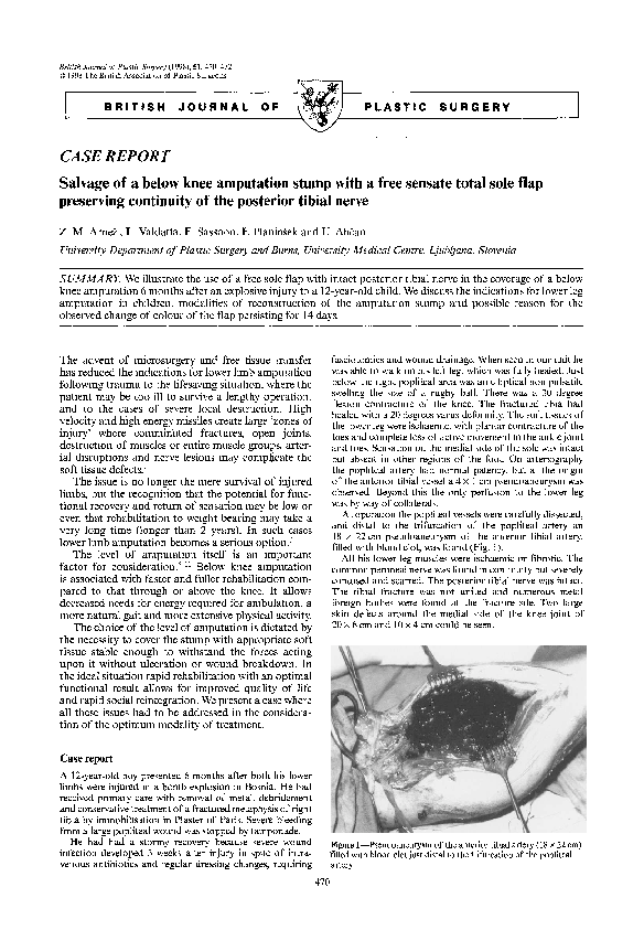 (PDF) Skin grafts for the salvage of degloved below-knee amputation ...