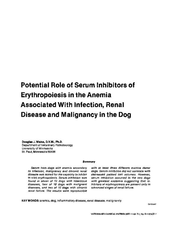 Can Infection Cause Anemia In Dogs