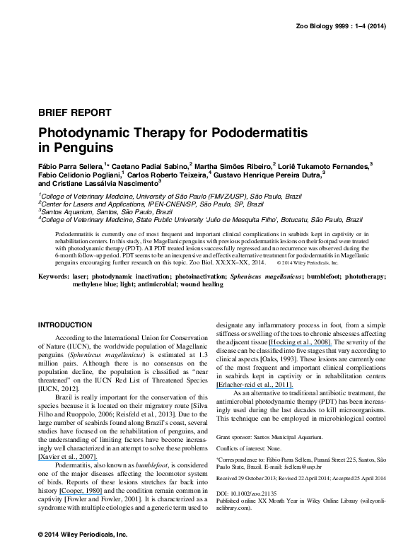 (PDF) Photodynamic therapy for pododermatitis in penguins
