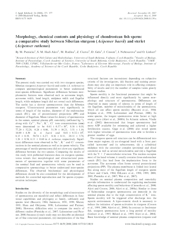 (PDF) Morphology, chemical contents and physiology of chondrostean fish ...