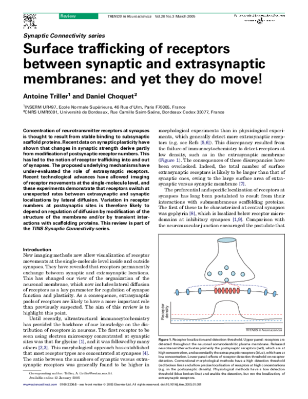 (PDF) Surface trafficking of receptors between synaptic and ...