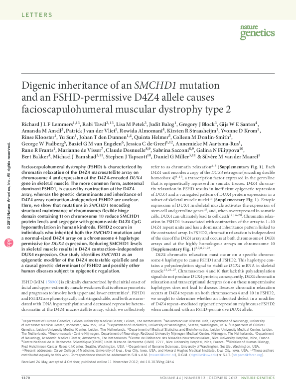 (PDF) Digenic inheritance of an SMCHD1 mutation and an FSHD-permissive ...