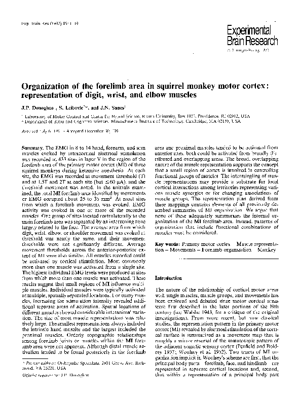(PDF) Organization of the forelimb area in squirrel monkey motor cortex ...