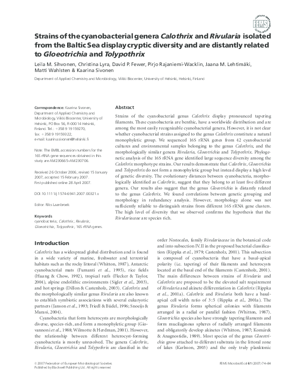 (PDF) Strains of the cyanobacterial genera Calothrix and Rivularia ...