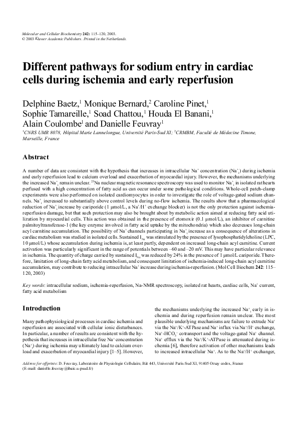 (PDF) Different pathways for sodium entry in cardiac cells during ...