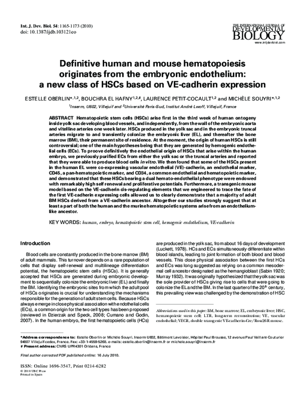 (PDF) Definitive human and mouse hematopoiesis originates from the ...