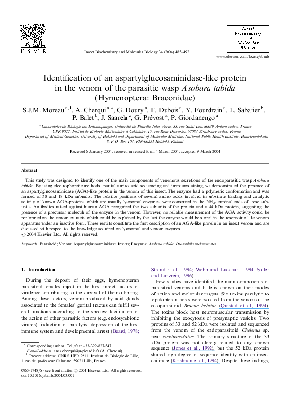 (PDF) Identification of an aspartylglucosaminidase-like protein in the ...