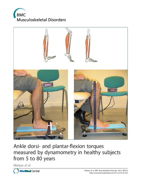 (PDF) Ankle dorsi- and plantar-flexion torques measured by dynamometry ...