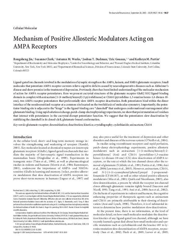 (PDF) Mechanism of Positive Allosteric Modulators Acting on AMPA Receptors