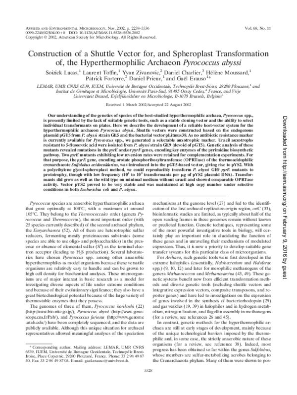 (PDF) Construction of a Shuttle Vector for, and Spheroplast ...