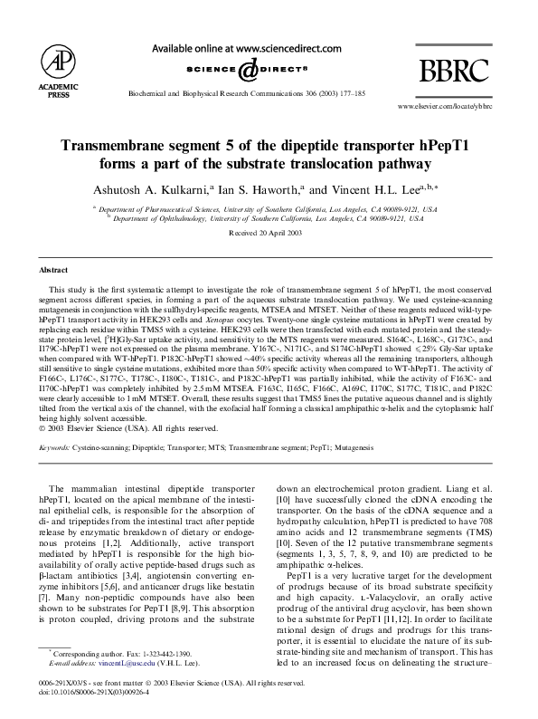 (PDF) Transmembrane segment 5 of the dipeptide transporter hPepT1 forms ...
