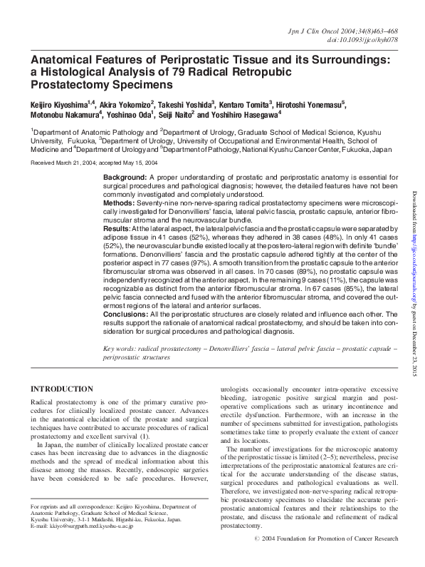 (PDF) Anatomical Features of Periprostatic Tissue and its Surroundings ...