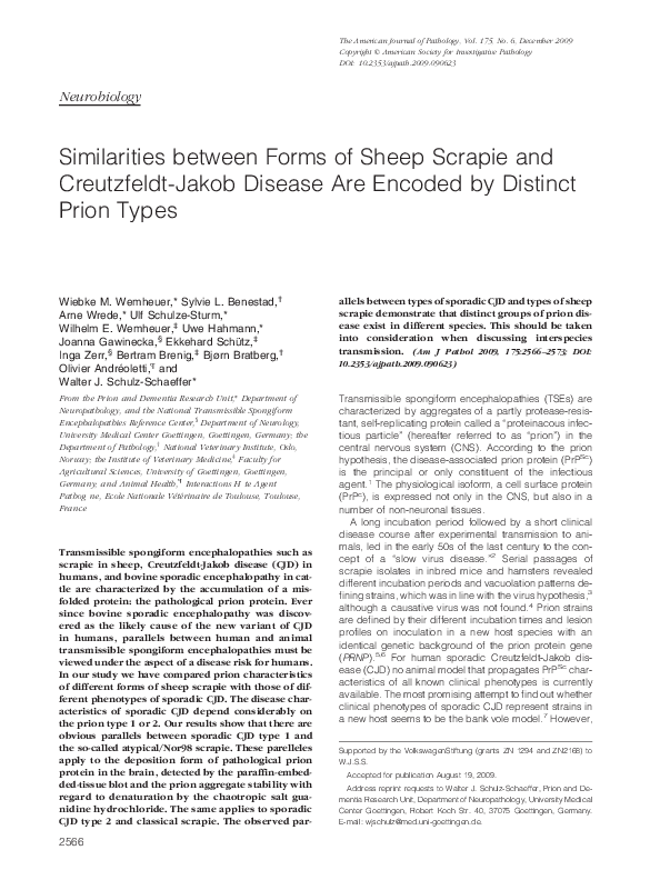 (PDF) Similarities between Forms of Sheep Scrapie and Creutzfeldt-Jakob ...