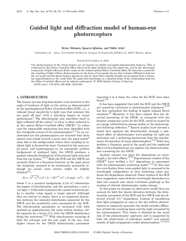 (PDF) Guided light and diffraction model of human-eye photoreceptors