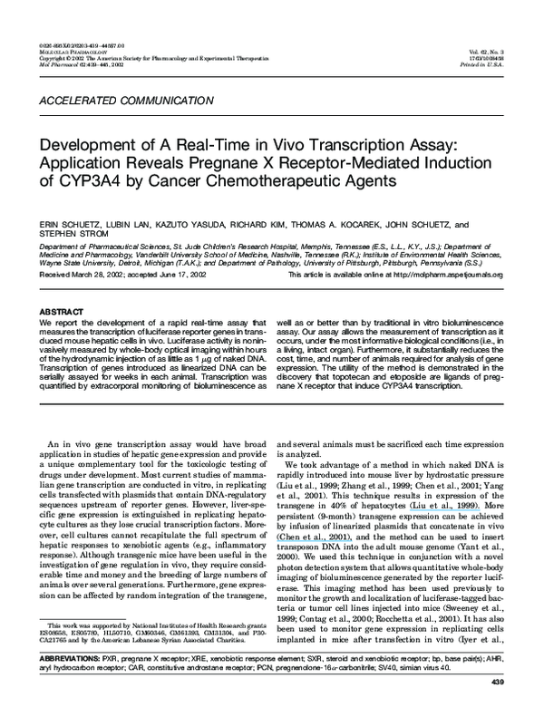 (PDF) Development of A Real-Time in Vivo Transcription Assay ...