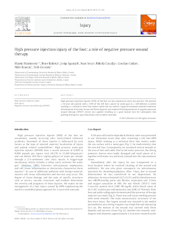 (PDF) High pressure injection injury of the foot: a role of negative ...
