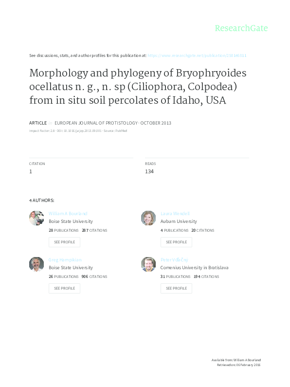 (PDF) Morphology and phylogeny of Bryophryoides ocellatus n. g., n. sp ...