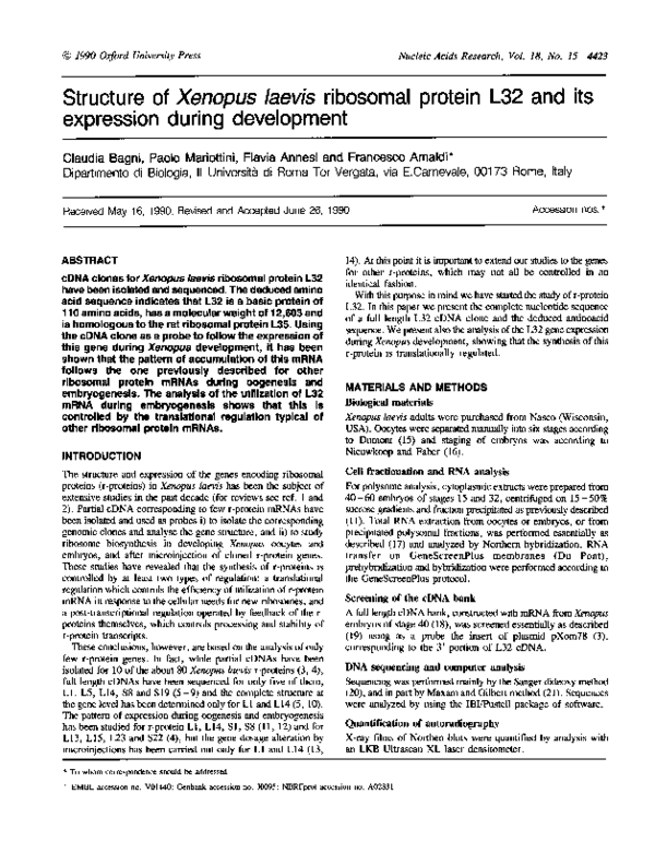 (PDF) Structure of Xenopus laevis ribosomal protein L32 and its ...