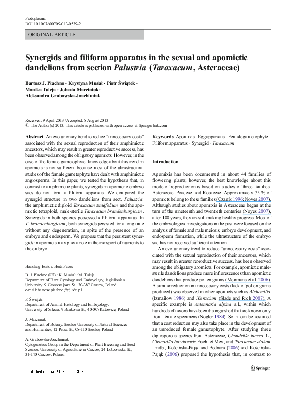 (PDF) Synergids and filiform apparatus in the sexual and apomictic ...