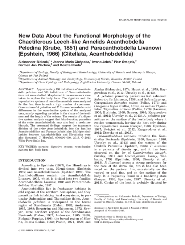 (PDF) New data about the functional morphology of the chaetiferous ...
